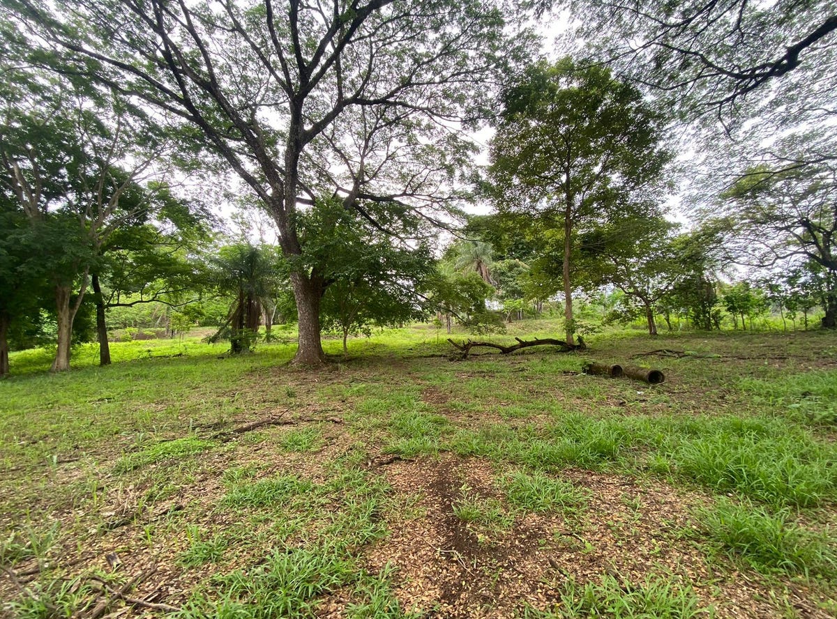 Alajuela, Orotina, Coyolar, Orotina, Alajuela, Orotina, Alajuela ...