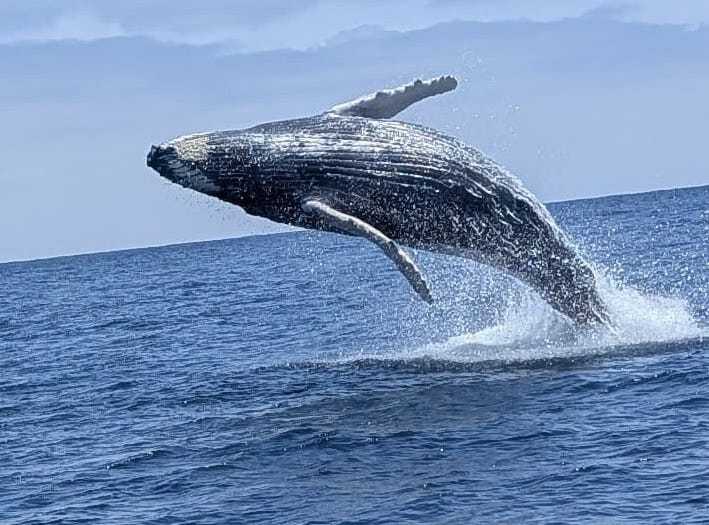 Last updated on : 13 Jan 2026