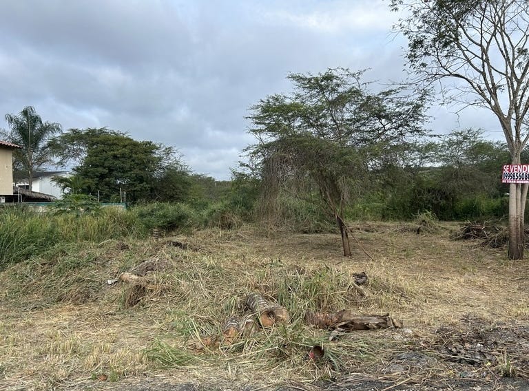 Last updated on : 20 Jan 2026