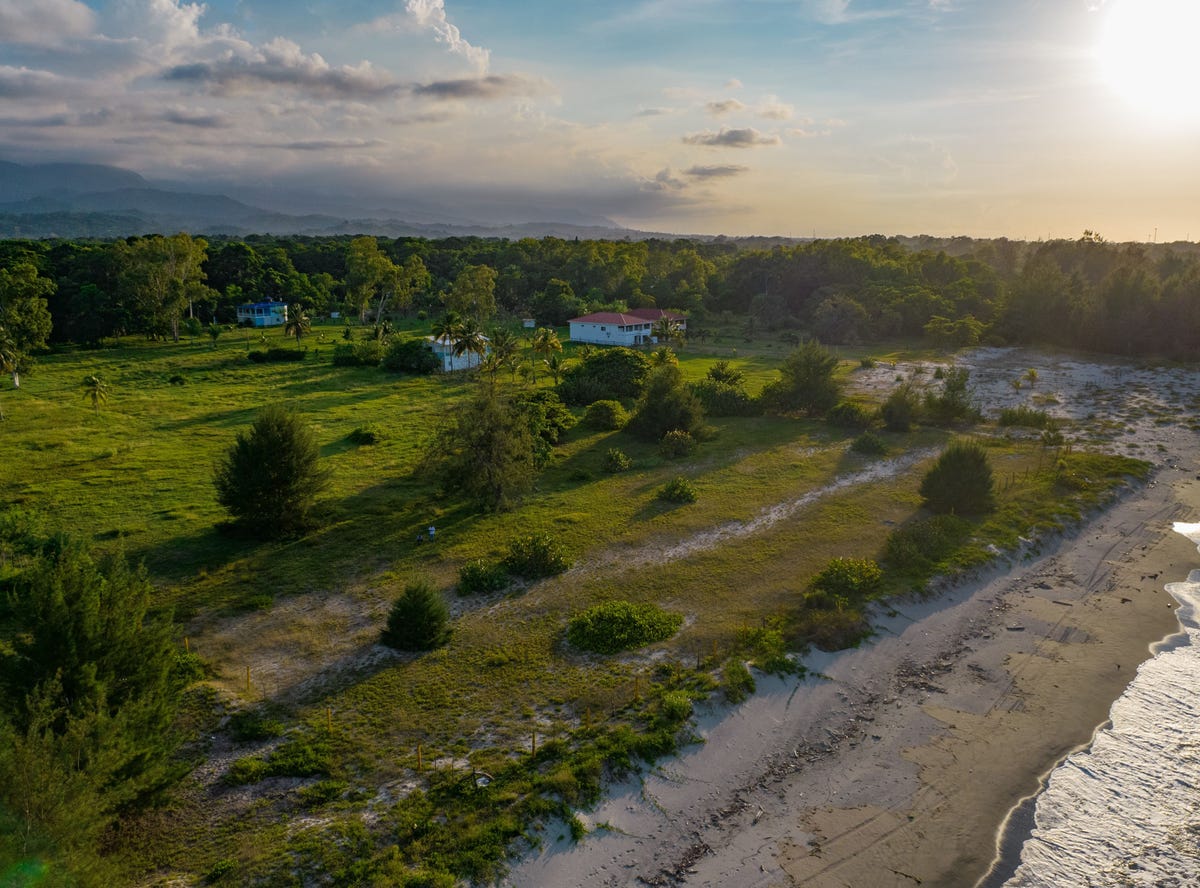 Last updated on : 13 Jan 2026