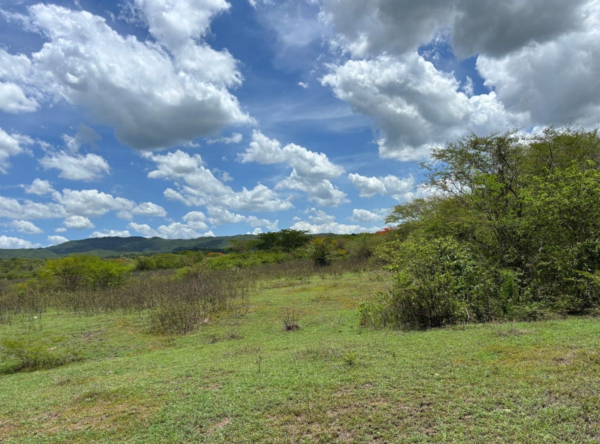 TREADLIGHT, May Pen, Clarendon Land for Sale - RealEstate KH