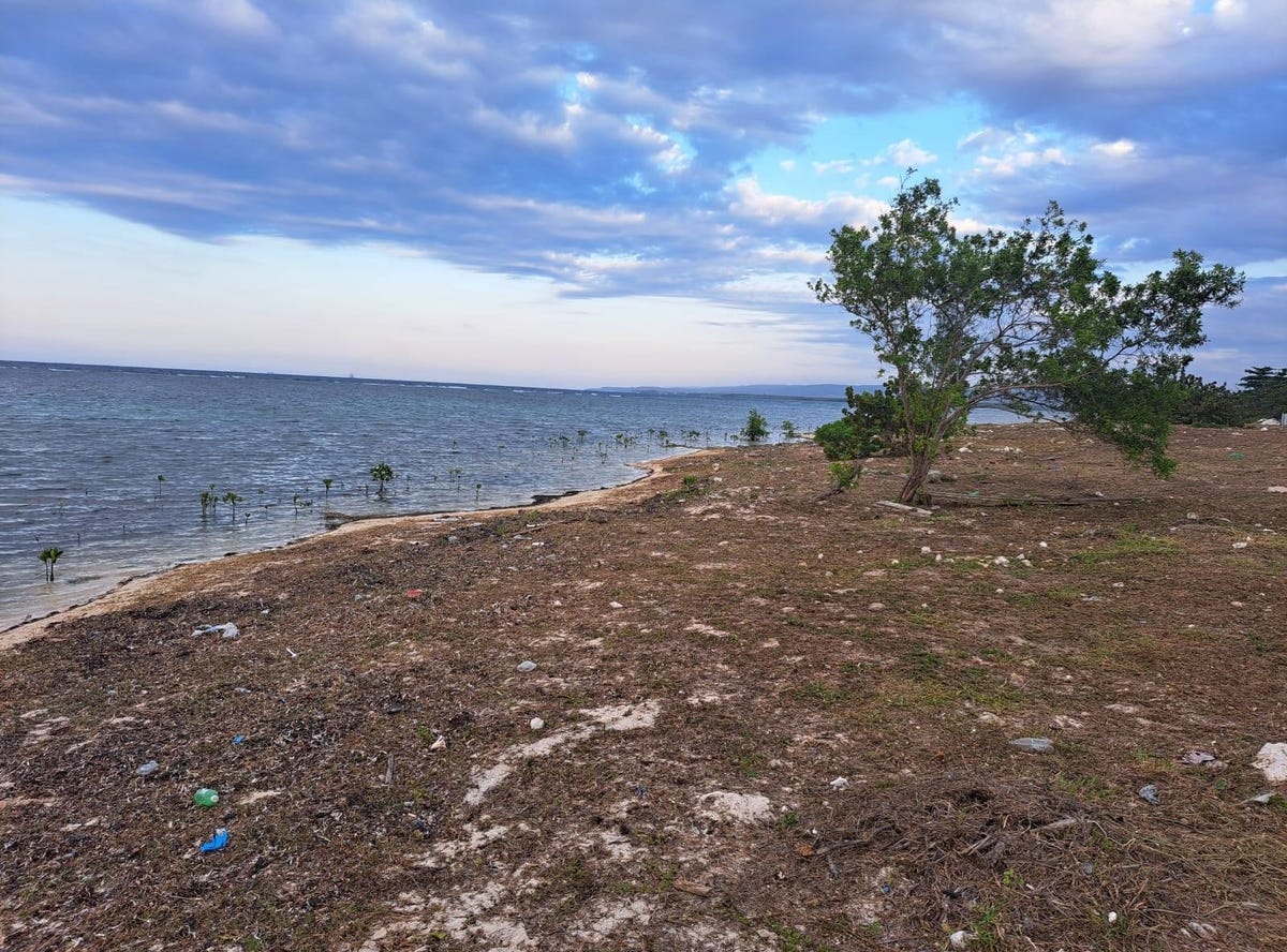 LOVE HALL/FLAMINGO BEACH, Falmouth, Trelawny Parish Land for Sale ...