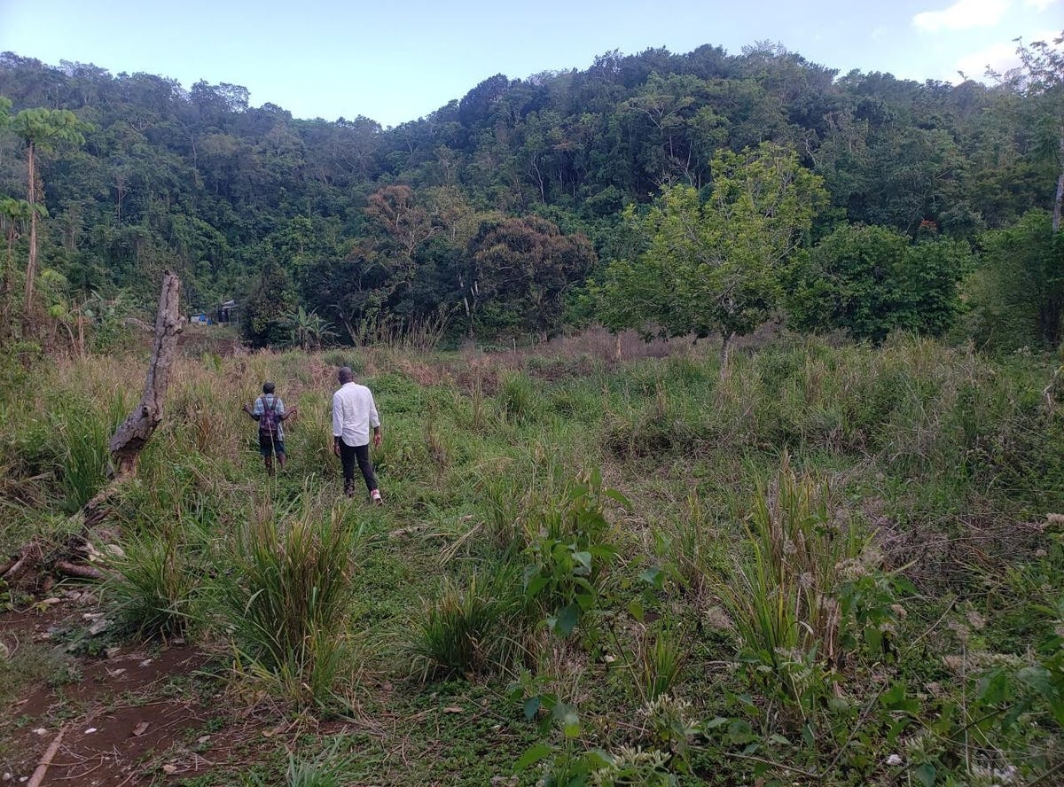 HOPEWELL, HANOVER Hanover Hopewell, Hopewell, Hanover Parish, Hopewell ...