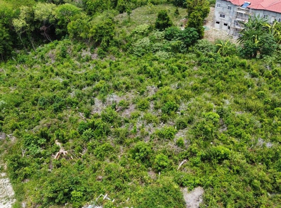 129 HIGHLANDS, SPRING FARM, S, Montego Bay, St. James Parish Land for Sale - realtor.com