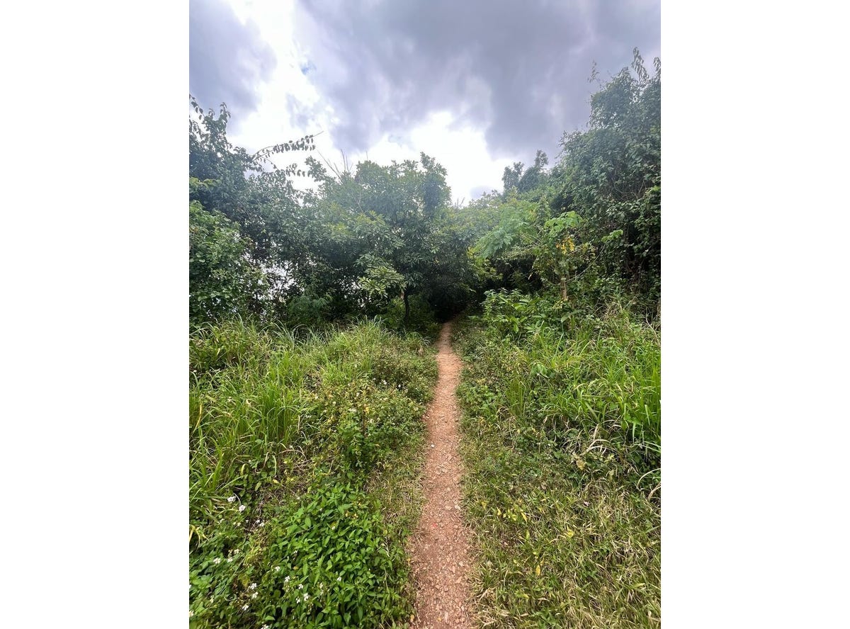 ST MICHAEL TERRACE unit: 189, Red Hills, St. Andrew Parish Land for ...