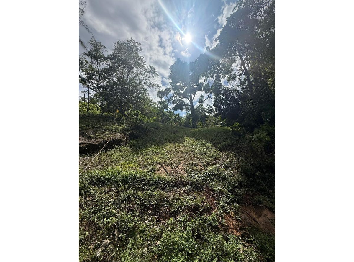 Last updated on : 21 Dec 2025