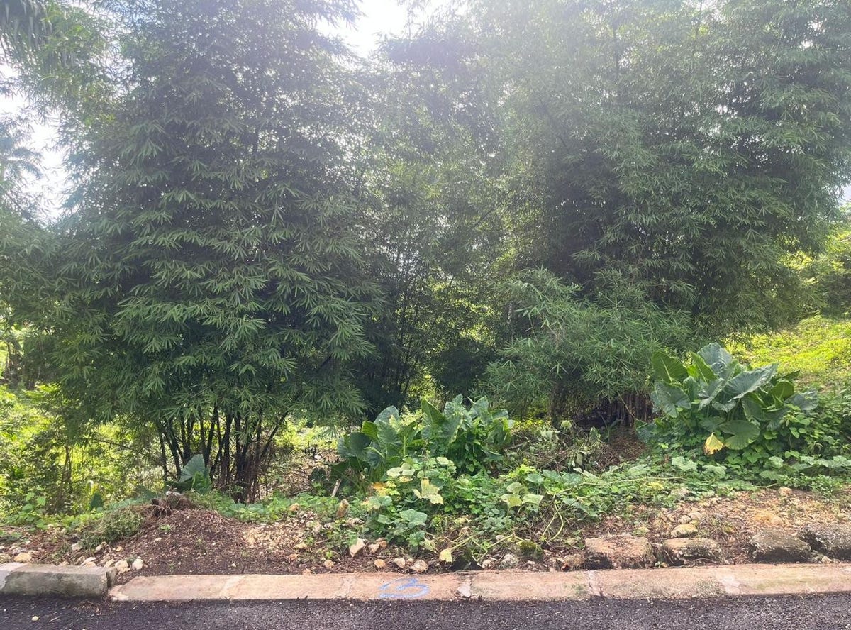 4XCW+4CQ, Church Rd, Tulloch, Jamaica, Linstead, Saint Catherine Parish ...