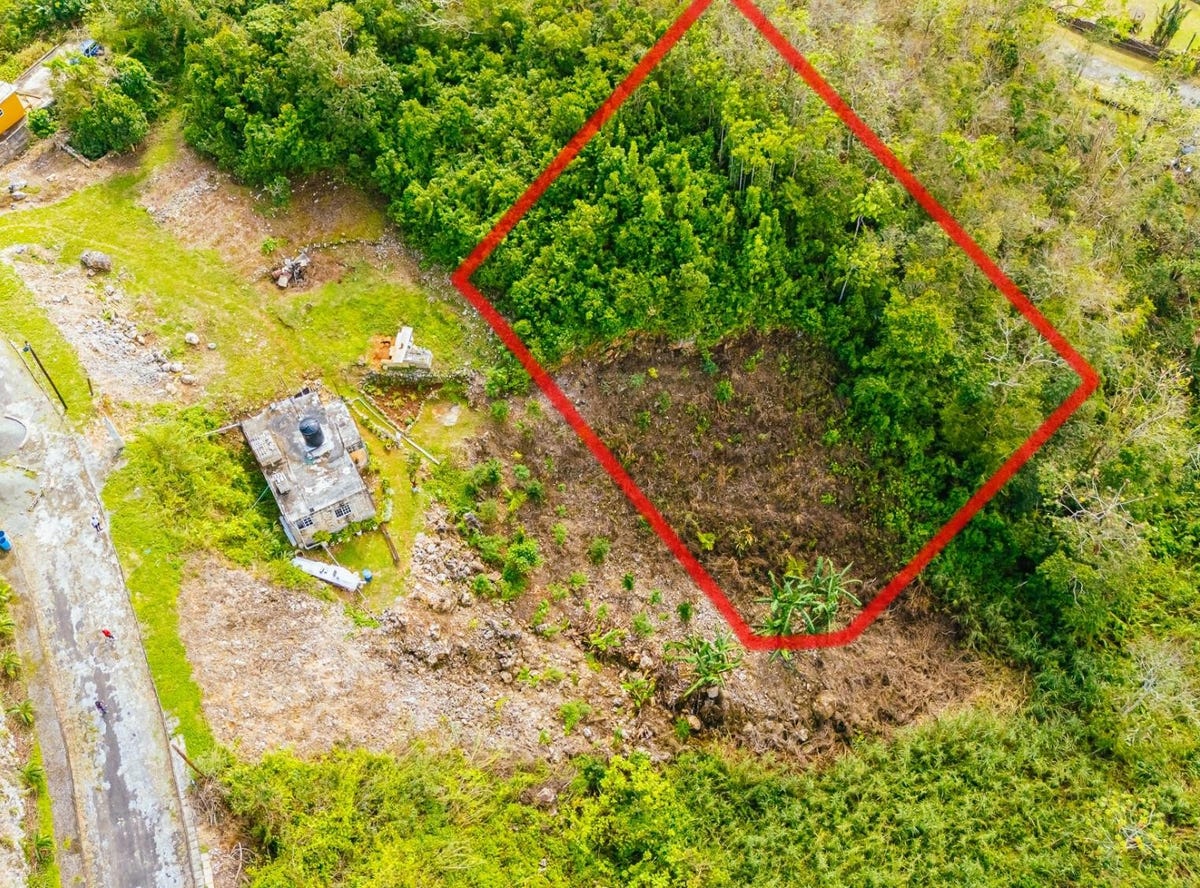 ABRAHAM ROAD, COOPERS HIL, Red Hills, St. Andrew Parish Land for Sale ...