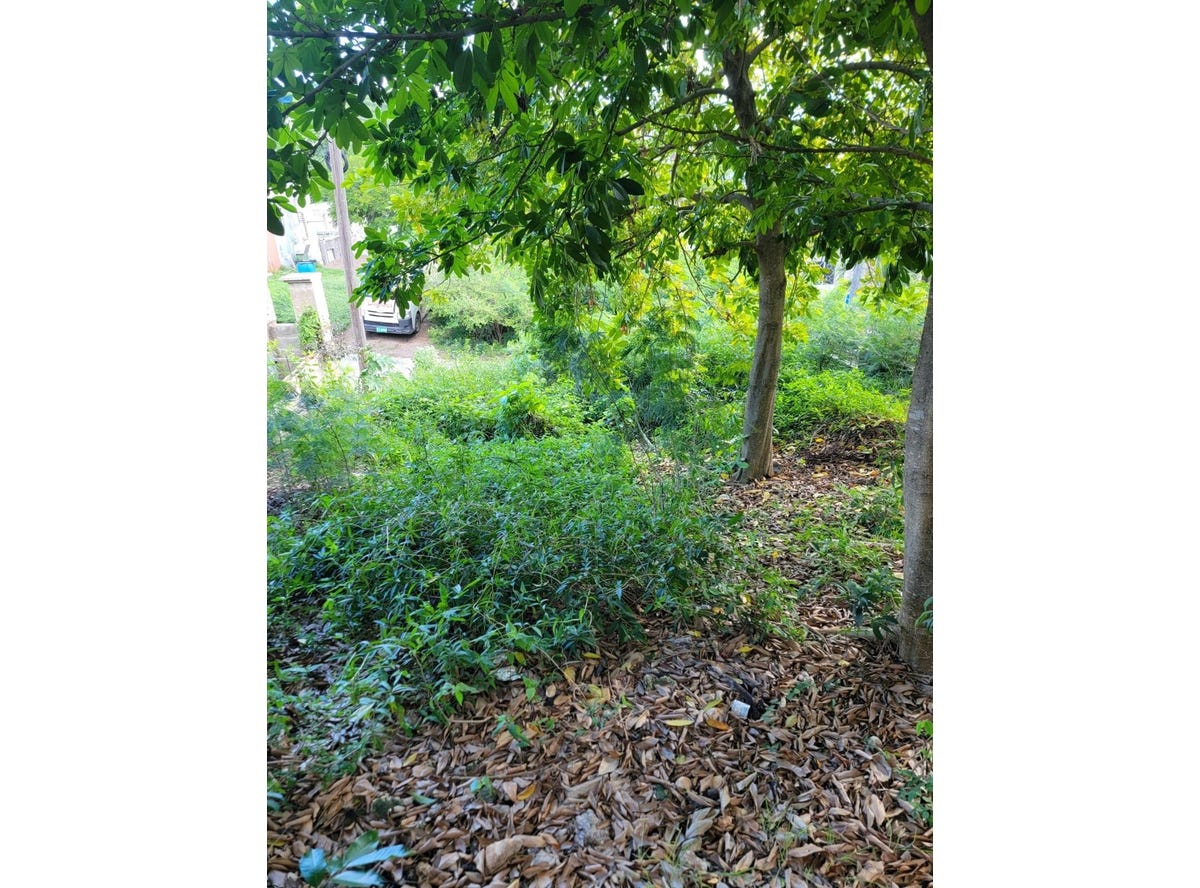 Last updated on : 20 Jan 2026