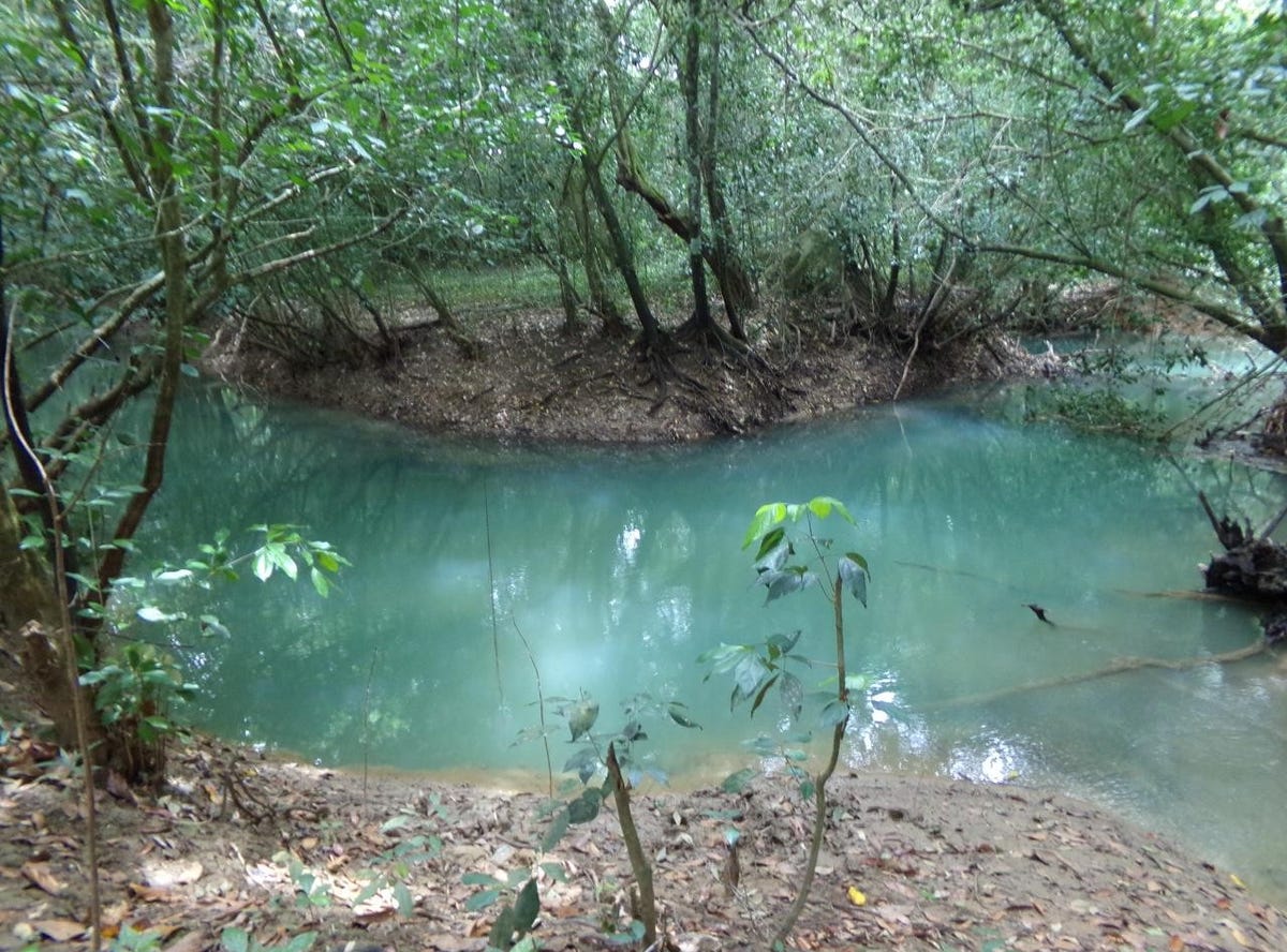 Unity BUNKERS HILL, Bunkers Hill, Trelawny Parish Land for Sale ...