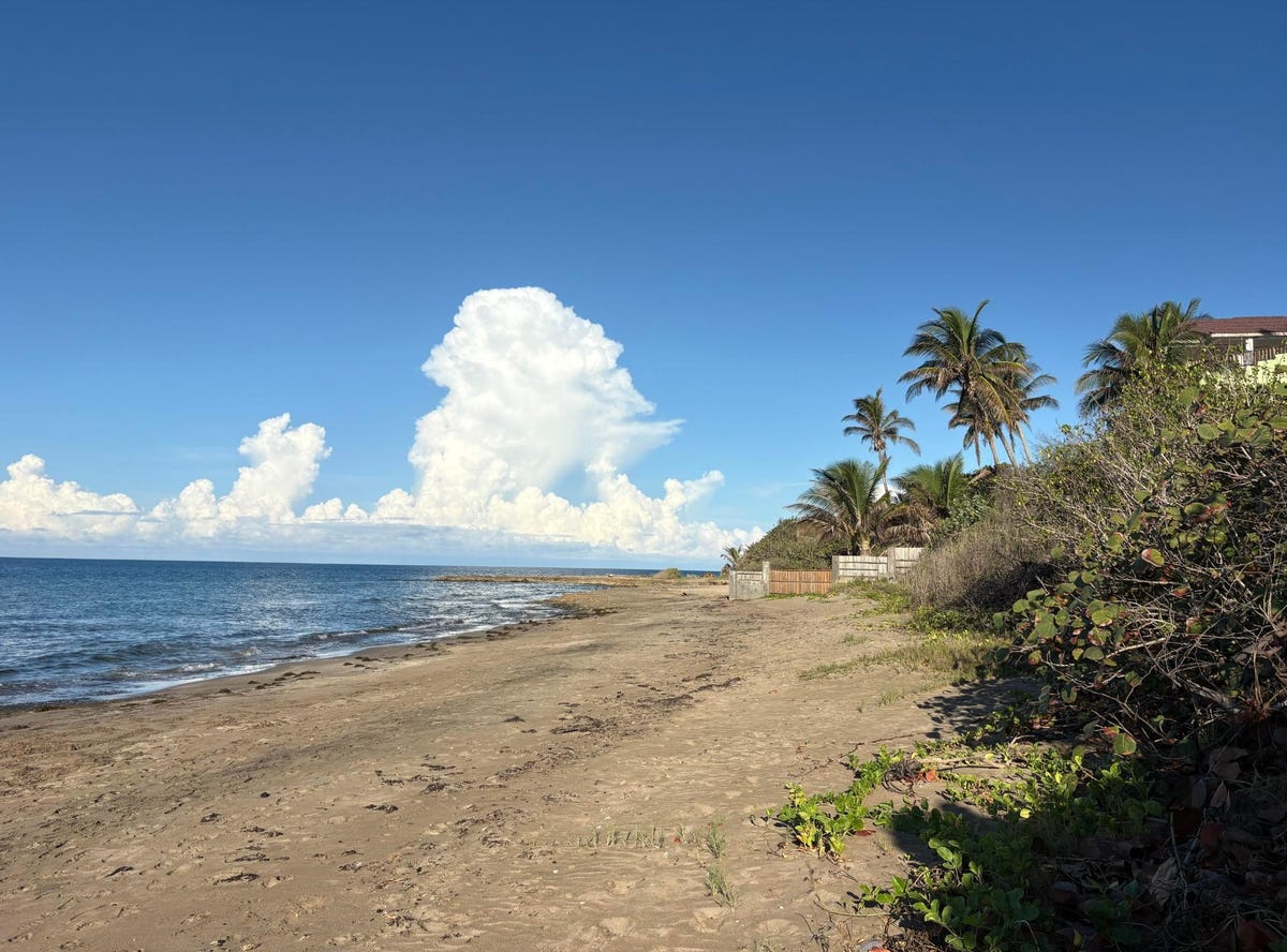 Last updated on : 23 Jan 2026