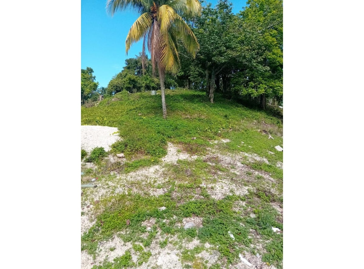 ANCHOVY P.O , ST .JAMES, Mount Carey, St. James Parish Land for Sale ...