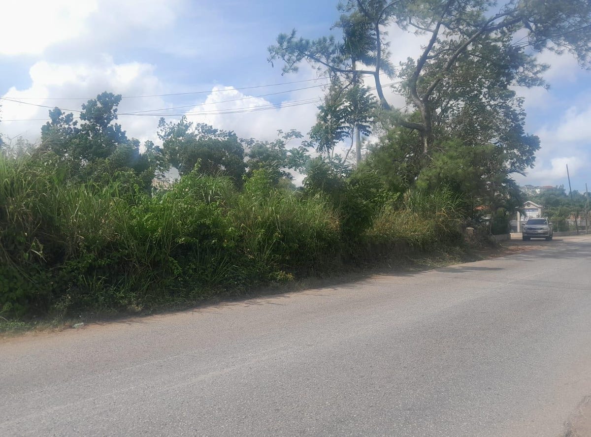 60 CALEDONIA ROAD, Mandeville, Manchester Parish Land for Sale ...