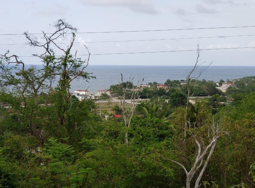 Lot 3A ESHER HAUGHTON COURT, Haughton Court, Hanover Parish Land for ...