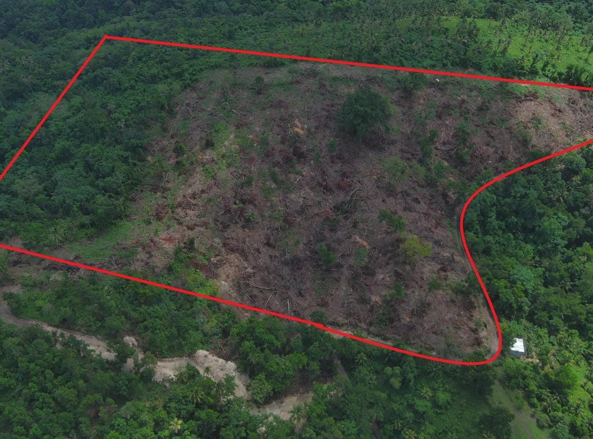 134 KILDARE PORTLAND, Buff Bay, Portland Parish Land for Sale - realtor.com