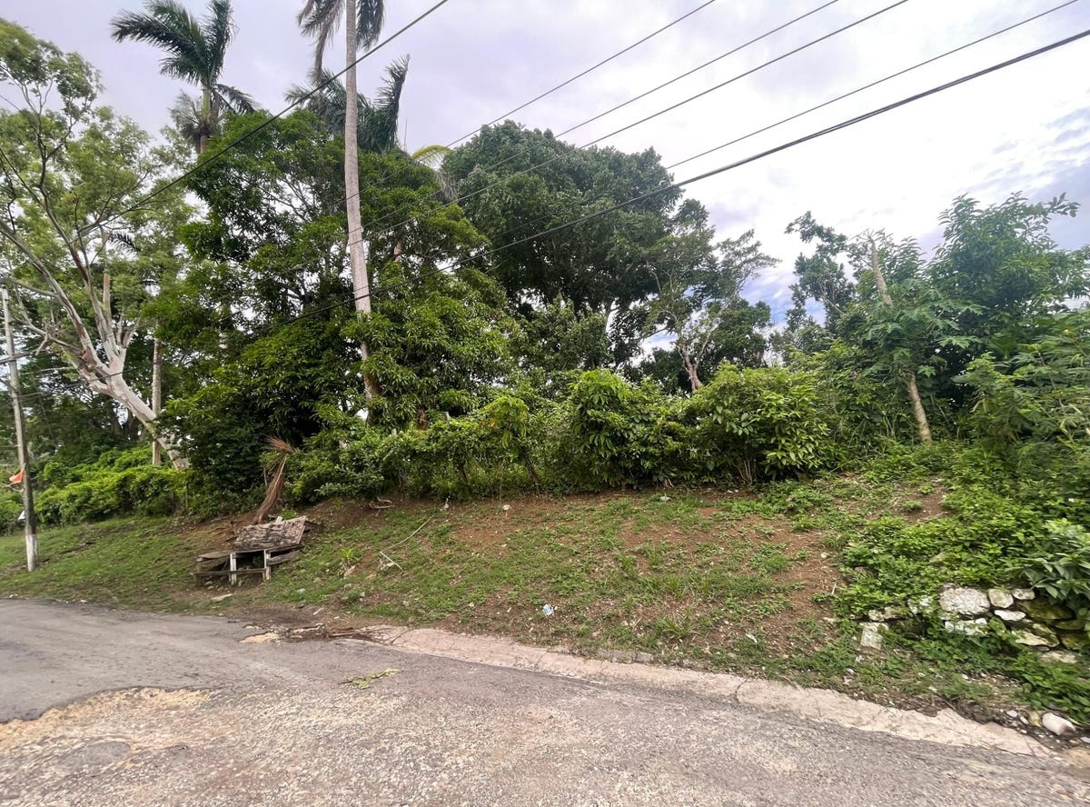 5 FREE HILL RD, ROSLYN PEN, Free Hill, St. Mary Parish Land for Sale ...