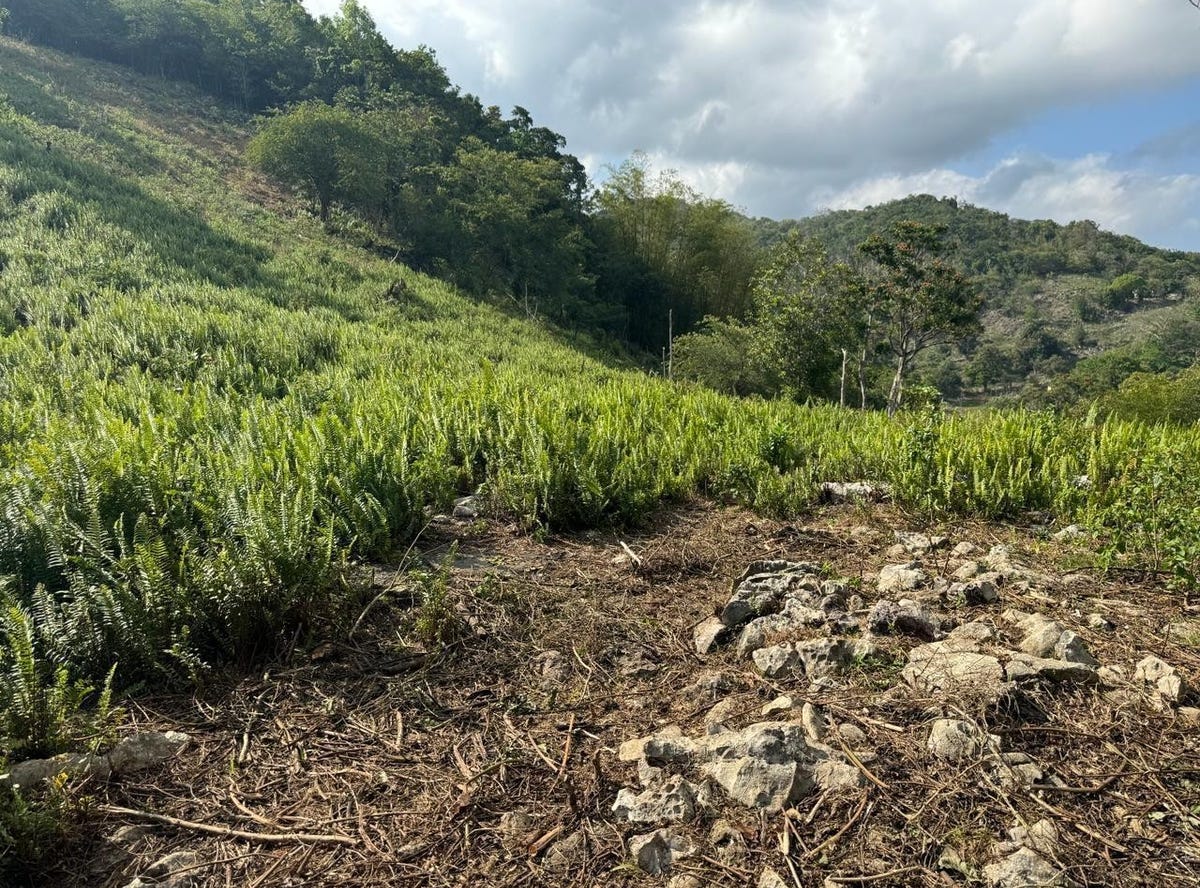 SUCCESS, GOLDEN GROVE, Success, Hanover Parish Land for Sale ...