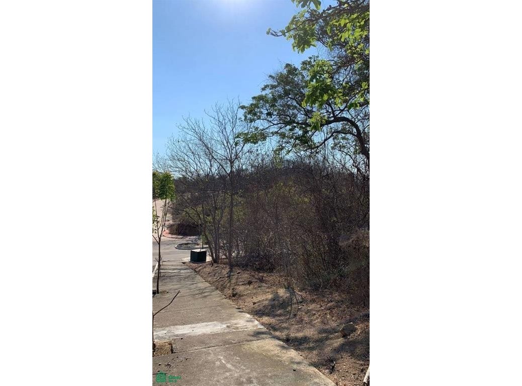 7 Lote 7, Residencial Conejos, Santa María Huatulco, Oaxaca, Bahias de ...