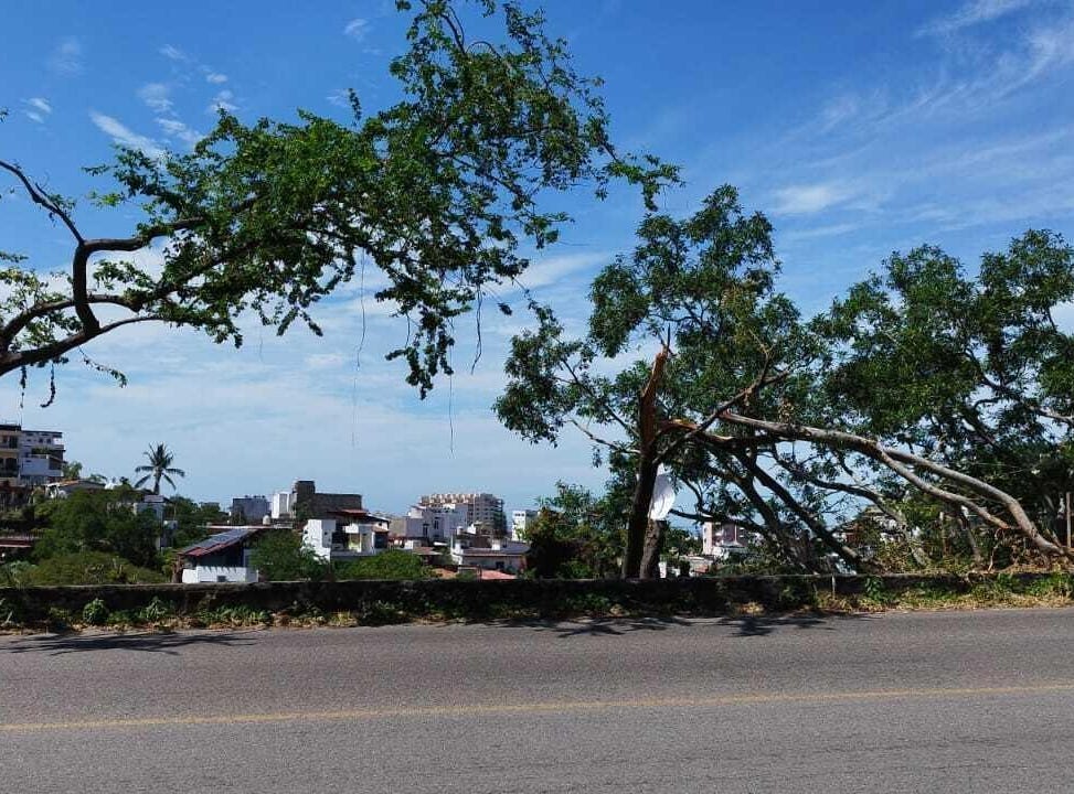 Last updated on : 22 Jan 2026