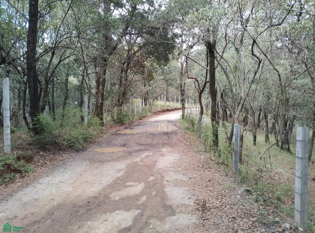 Last updated on : 06 Jan 2026