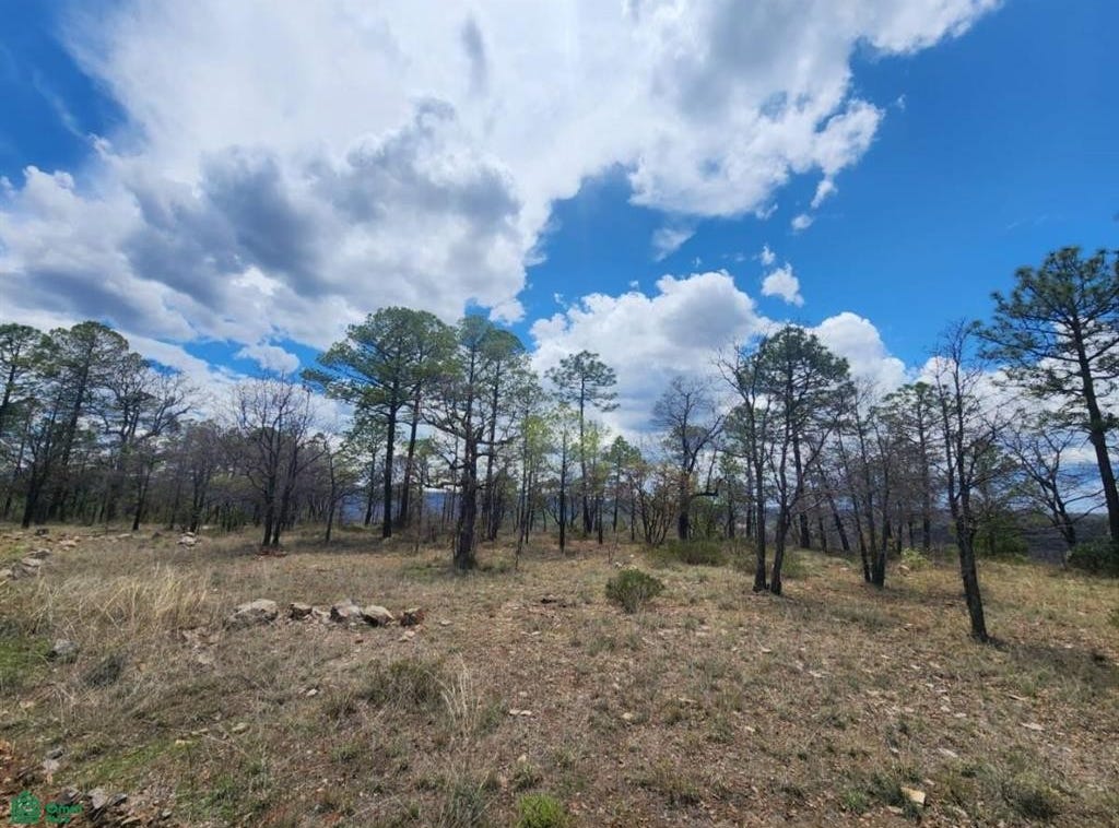 Last updated on : 13 Jan 2026