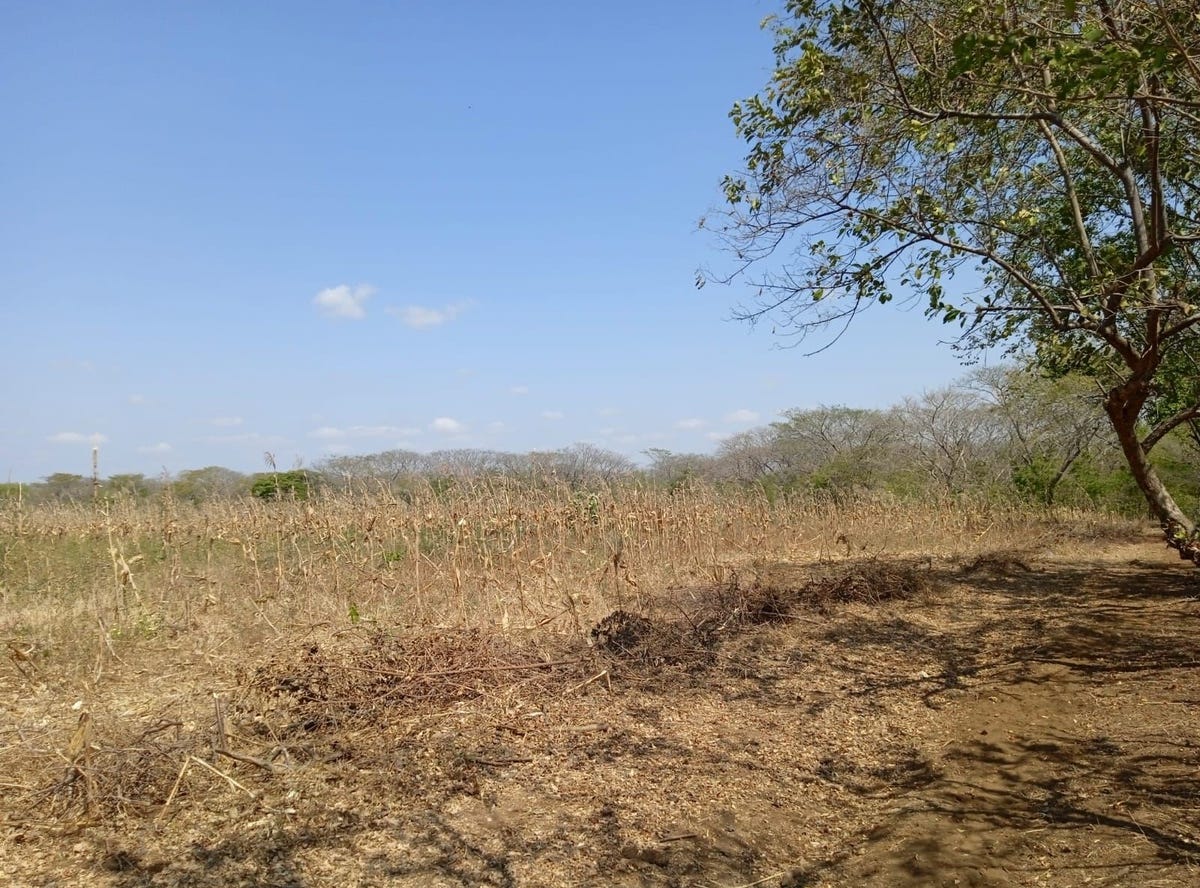 Last updated on : 13 Jan 2026