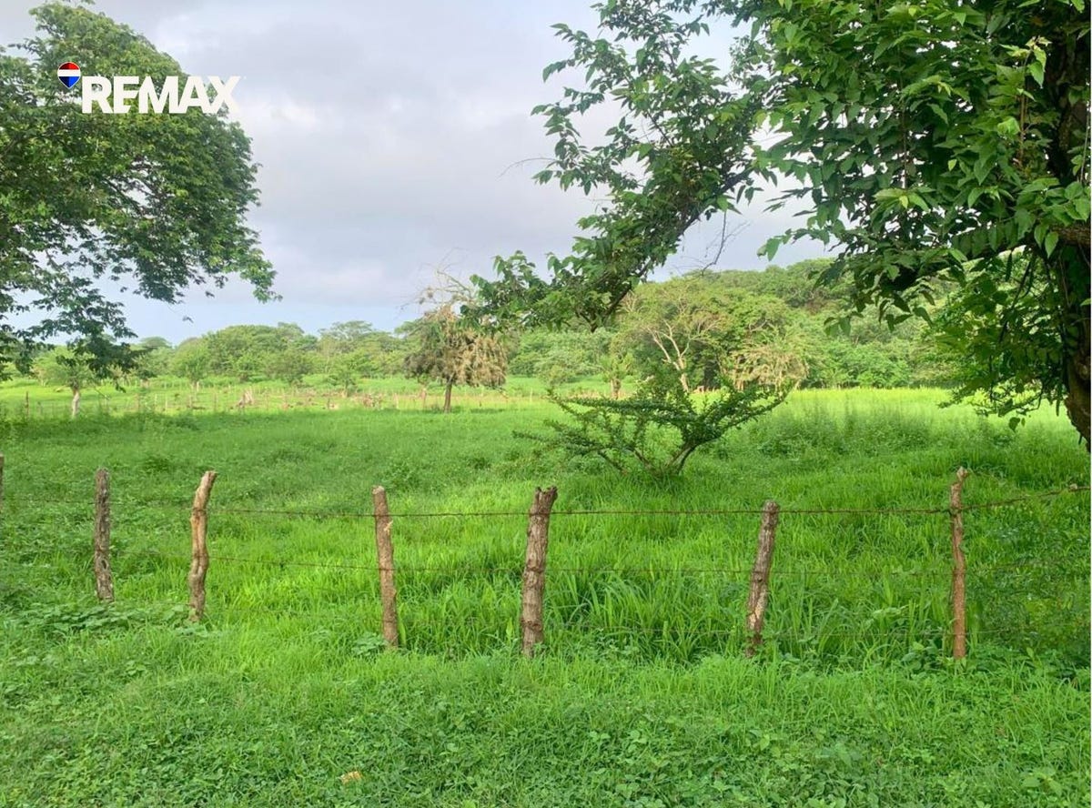 Santo Domingo, Altagracia, Rivas, Altagracia, Rivas Department Land for ...
