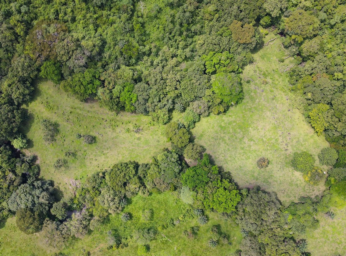 Last updated on : 20 Jan 2026