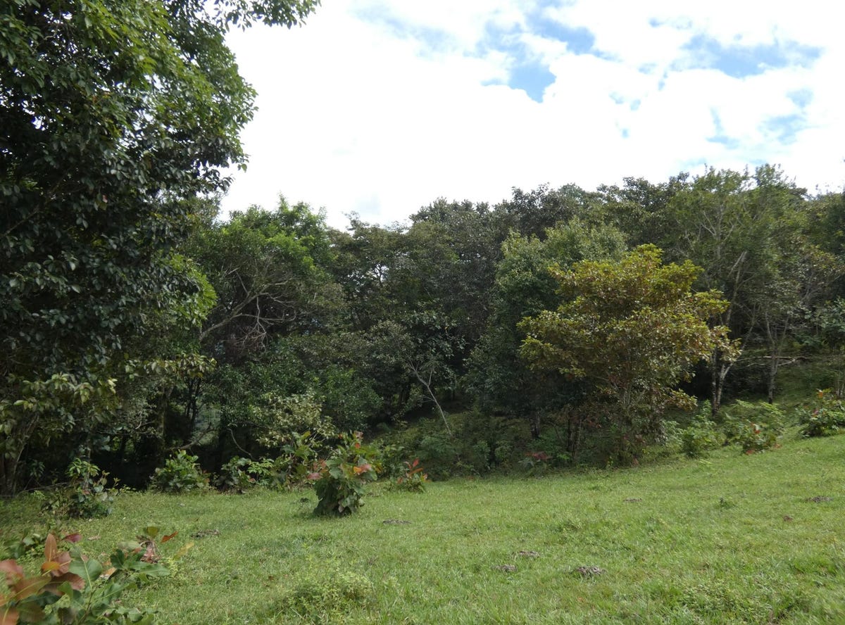 CALDERA BOQUETE, Boquete, Chiriqui Land for Sale - RealEstate KH