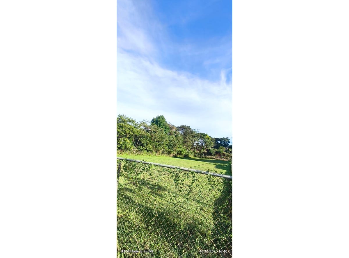 Last updated on : 29 Jan 2026