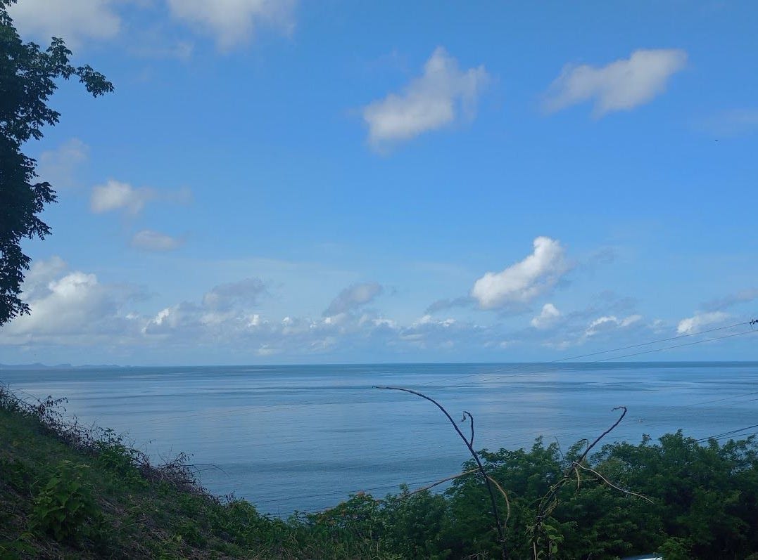 Layou, St. Vincent, SVG, Layou, St. Vincent, Layou, Saint Patrick Land ...