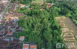 Adi Bisma Inn, Jalan Bisma, Ubud Kel., Ubud, Gianyar, 80571, Indonesia ...