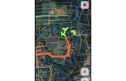 Adi Bisma Inn, Jalan Bisma, Ubud Kel., Ubud, Gianyar, 80571, Indonesia ...