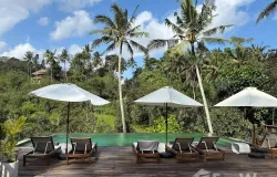 Adi Bisma Inn, Jalan Bisma, Ubud Kel., Ubud, Gianyar, 80571, Indonesia ...