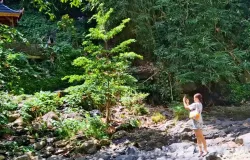 Pak Putu Farm, Dalang Kel., Selemadeg Timur, Tabanan, 82165, Indonesia ...