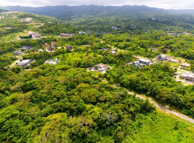 313 DRAX HALL ESTATE, Drax Hall Estate, St. Ann Parish Land for Sale ...