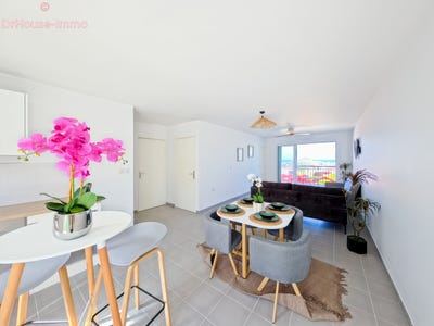 /international/mf/saint-martin-collectivity-of-saint-martin-310105540777/