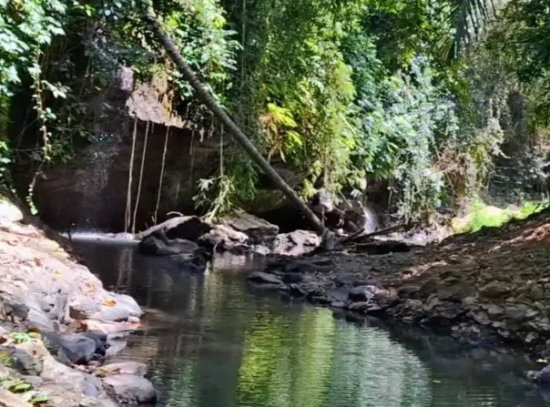 Pak Putu Farm, Dalang Kel., Selemadeg Timur, Tabanan, 82165, Indonesia ...