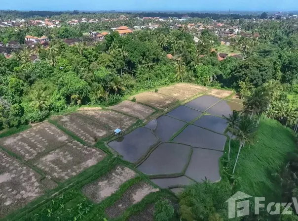 Adi Bisma Inn, Jalan Bisma, Ubud Kel., Ubud, Gianyar, 80571, Indonesia ...