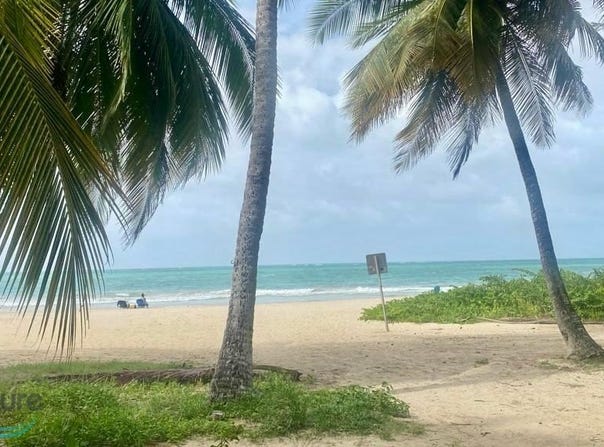 4633 CASTILLO DEL MAR AVE. ISLA VERDE, Isla Verde, Carolina 00979 ...