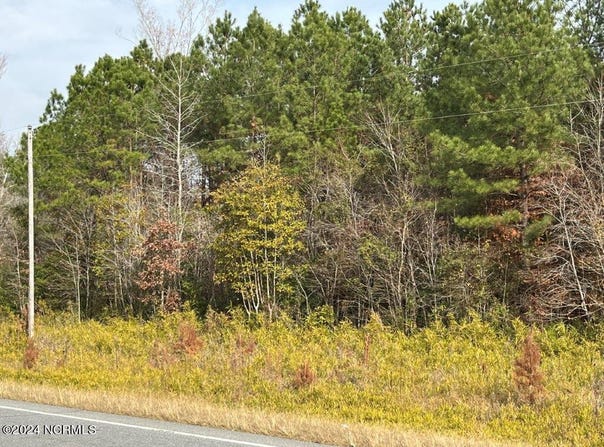 537 Nc Highway 45 S, Merry Hill, NC 27957 Land for Sale - realestate.com.au