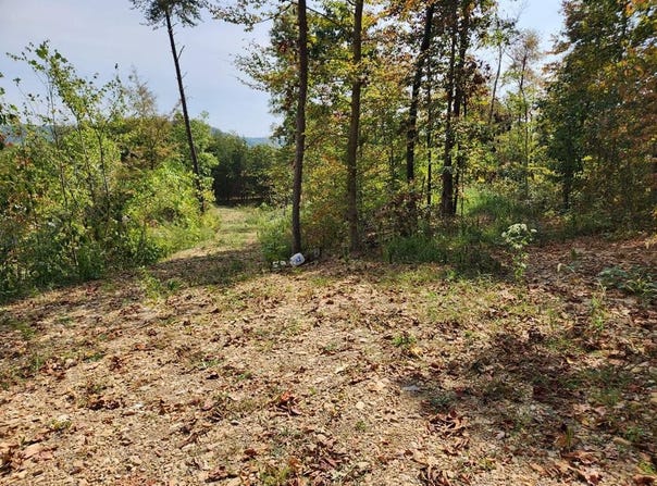 000 Routt Rd., Wallingford, KY 41041 Other for Sale - realestate.com.au
