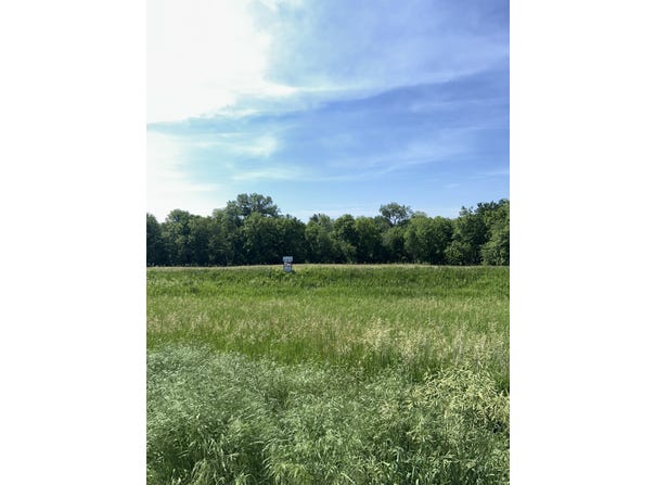 27815 Coffee Tree Lane, Silver City, IA 51571 Other for Sale ...