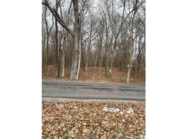 650 S Gum Springs Rd, Paducah, KY 42001 Terrain en venta - realestate ...