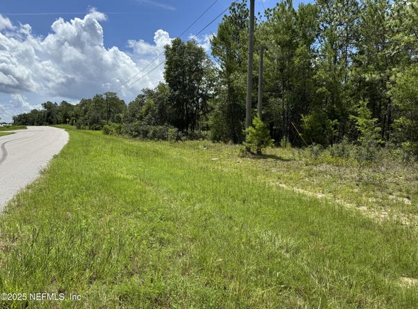 1359 STATE RD 20, Interlachen, FL 32148 Other for Sale - realestate.com.au