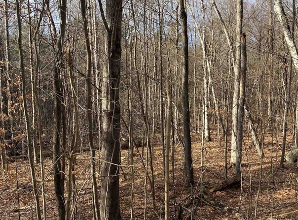 8 Fred Johnson Circle, Middlebury, VT 05753 Other for Sale - realestate ...