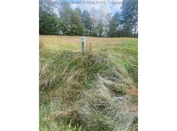 2966 Spring Branch Road, Leon, WV 25123 Other for Sale - realestate.com.au