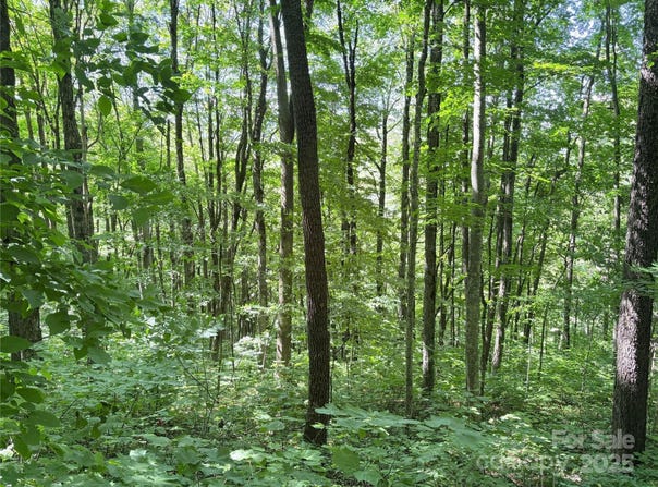 00 Slippery Rock Road, Waynesville, NC 28785 Other for Sale ...