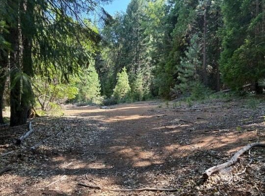 Castle Lake Rd, Shasta Lake, CA 96067 Other for Sale - RealEstate KH