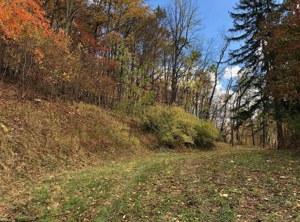 TBD Jones Lane Road, Parsons, WV 26287 Other for Sale - realestate.com.au